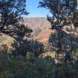 Emigration Canyon Ridgeline Trail, Utah - 378 Reviews, Map | AllTrails