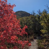 Emigration Canyon Ridgeline Trail, Utah - 303 Reviews, Map | AllTrails