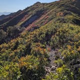 Emigration Canyon Ridgeline Trail, Utah - 378 Reviews, Map | AllTrails