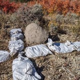 Emigration Canyon Ridgeline Trail, Utah - 303 Reviews, Map | AllTrails