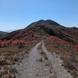 Emigration Canyon Ridgeline Trail, Utah - 303 Reviews, Map | AllTrails