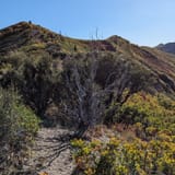 Emigration Canyon Ridgeline Trail, Utah - 303 Reviews, Map | AllTrails