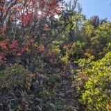 Emigration Canyon Ridgeline Trail, Utah - 303 Reviews, Map | AllTrails