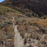 Emigration Canyon Ridgeline Trail, Utah - 303 Reviews, Map | AllTrails
