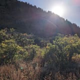 Emigration Canyon Ridgeline Trail, Utah - 378 Reviews, Map | AllTrails