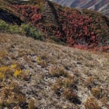 Emigration Canyon Ridgeline Trail, Utah - 303 Reviews, Map | AllTrails