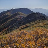 Emigration Canyon Ridgeline Trail, Utah - 378 Reviews, Map | AllTrails