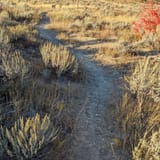 Emigration Canyon Ridgeline Trail, Utah - 378 Reviews, Map | AllTrails