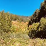 Iron Goat Trail, Washington - 1,334 Reviews, Map | AllTrails