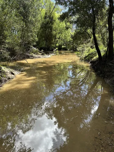 Best Hikes and Trails in Taradale Nature Conservation Reserve | AllTrails