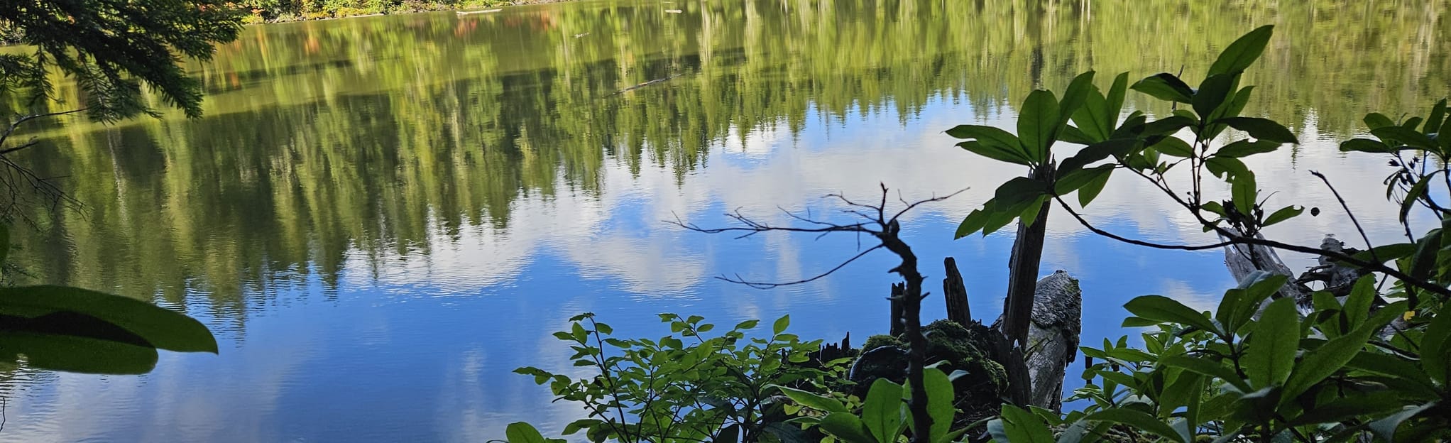 Gordon Lakes Trail, Oregon - 40 Reviews, Map | AllTrails