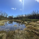 Lake Mountain and Keppel Hut Loop, Victoria, Australia - 67 Reviews ...