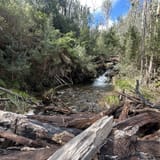 Lake Mountain and Keppel Hut Loop, Victoria, Australia - 67 Reviews ...