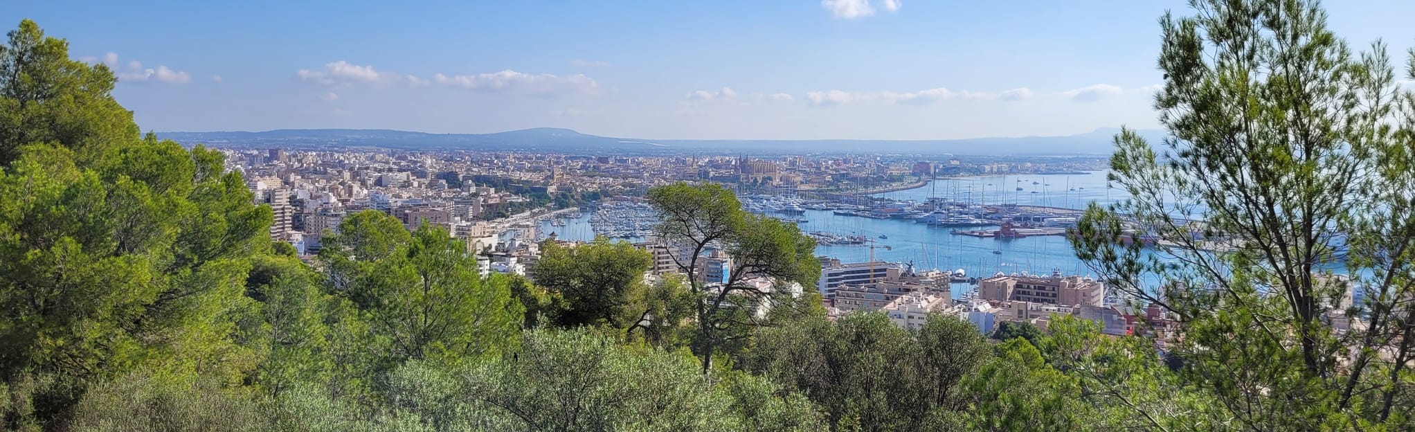 Bosque Bellver, Majorca, Spain - 46 Reviews, Map | AllTrails