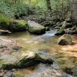 Chestnut Ridge Heritage Preserve Trail, South Carolina - 1,412 Reviews ...