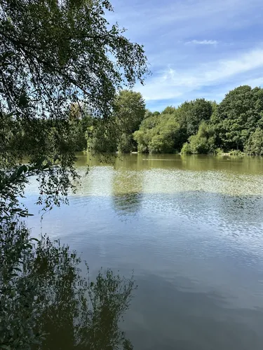 Best Mountain Biking Trails in Farnham | AllTrails