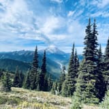 Lily Basin Trail, Washington - 92 Reviews, Map | AllTrails