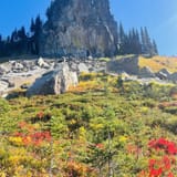 Lily Basin Trail, Washington - 92 Reviews, Map | AllTrails