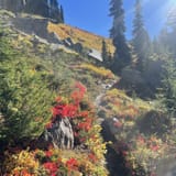 Lily Basin Trail, Washington - 92 Reviews, Map | AllTrails
