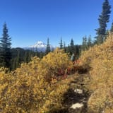 Lily Basin Trail, Washington - 92 Reviews, Map | AllTrails