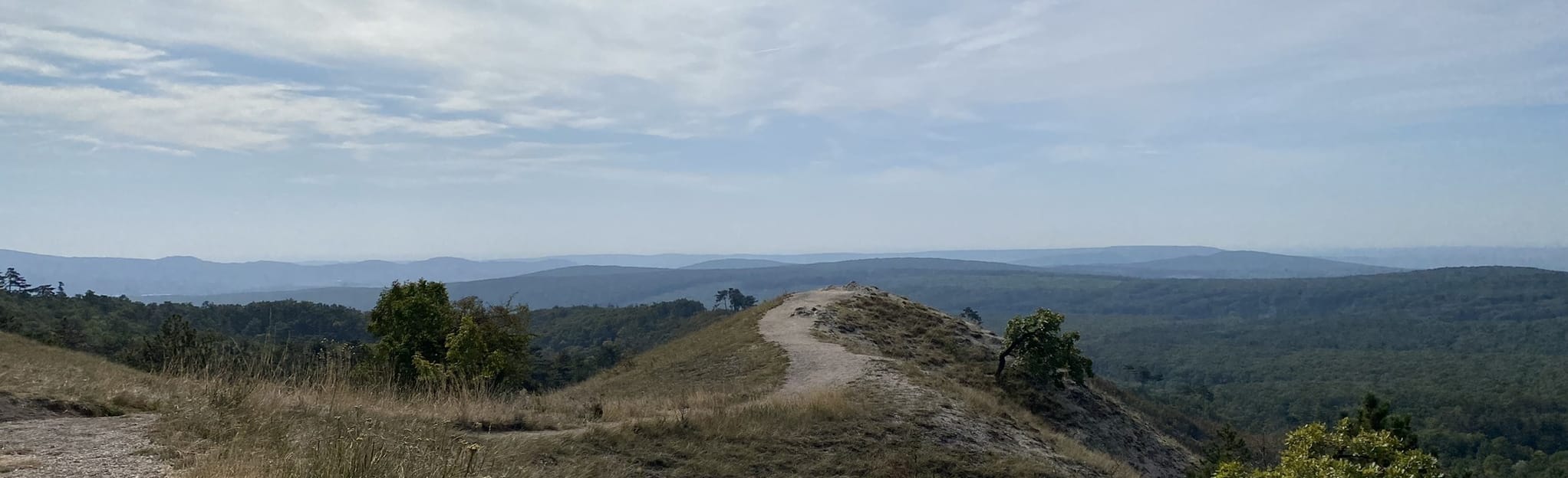 Telki-hegy - Nagy-Kopasz-hegy, Pest, Hungary - 69 Reviews, Map | AllTrails