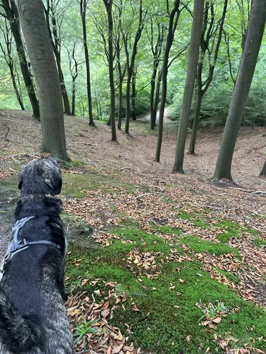 Best Hikes and Trails in Kruså | AllTrails