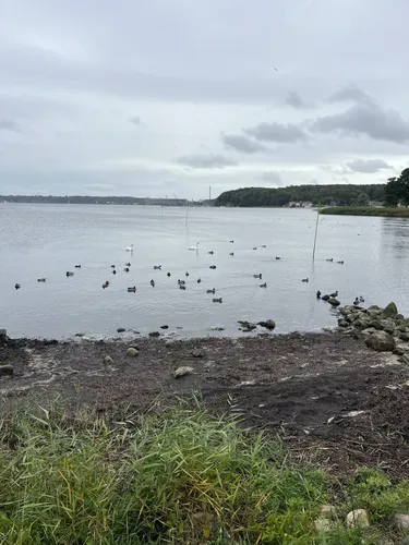 Best Hikes and Trails in Kruså | AllTrails