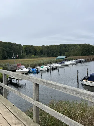 Best Hikes and Trails in Kruså | AllTrails