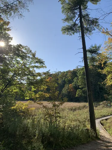 Best Forest Trails in Springwater Conservation Area | AllTrails