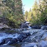 Cedar Falls Trail, Washington - 309 Reviews, Map | AllTrails