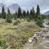 Hidden Lake Trail, Alberta, Canada - 347 Reviews, Map | AllTrails
