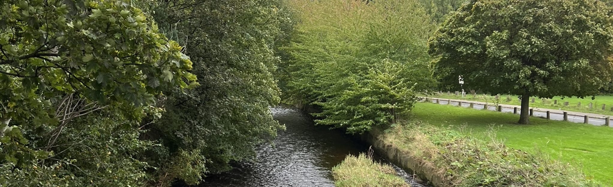 Dodder Walk, County Dublin, Ireland - 102 Reviews, Map | AllTrails