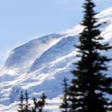 Silver Forest Trail, Washington - 508 Reviews, Map | AllTrails