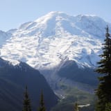 Silver Forest Trail, Washington - 508 Reviews, Map | AllTrails