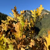 Tibble Fork Loop Trail, Utah - 726 Reviews, Map | AllTrails