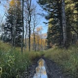 Tibble Fork Loop Trail, Utah - 726 Reviews, Map | AllTrails