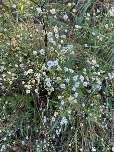 Best Hikes and Trails in Rolla | AllTrails