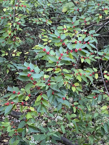 Best Hikes and Trails in Rolla | AllTrails