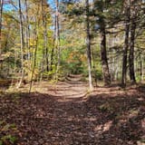 Saco River Trail, New Hampshire - 510 Reviews, Map | AllTrails