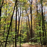 Saco River Trail, New Hampshire - 510 Reviews, Map | AllTrails