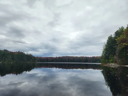 10 Best Trails and Hikes in Old Forge | AllTrails