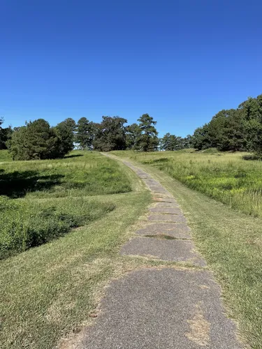 Best Hikes and Trails in Harry Pritchett Running Park | AllTrails