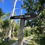 Apoxee and Owahee Trail Loop, Florida - 321 Reviews, Map | AllTrails