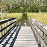 Apoxee and Owahee Trail Loop, Florida - 321 Reviews, Map | AllTrails