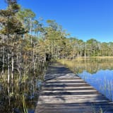Apoxee and Owahee Trail Loop, Florida - 321 Reviews, Map | AllTrails