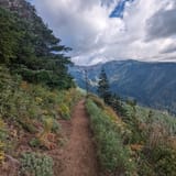 Bald Mountain from Lolo Pass Trail, Oregon - 1,732 Reviews, Map | AllTrails