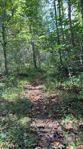 Best Hikes and Trails in Tall Pines Wildlife Management Area | AllTrails