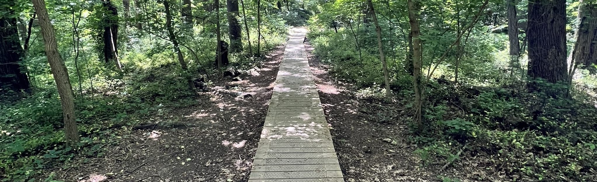 Potomac Overlook Trail, Virginia - 369 Reviews, Map | AllTrails
