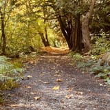 Iron Goat Trail, Washington - 1,334 Reviews, Map | AllTrails