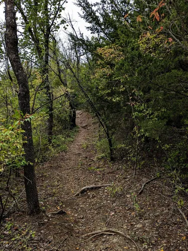 Best Waterfall Trails in Iola | AllTrails